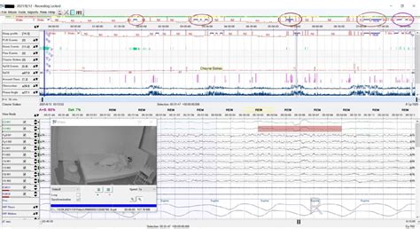 figure 1 from eeg based artistic visualization of dreams semantic scholar
