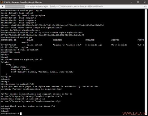 Proxmox的lxc容器内运行docker 荒岛
