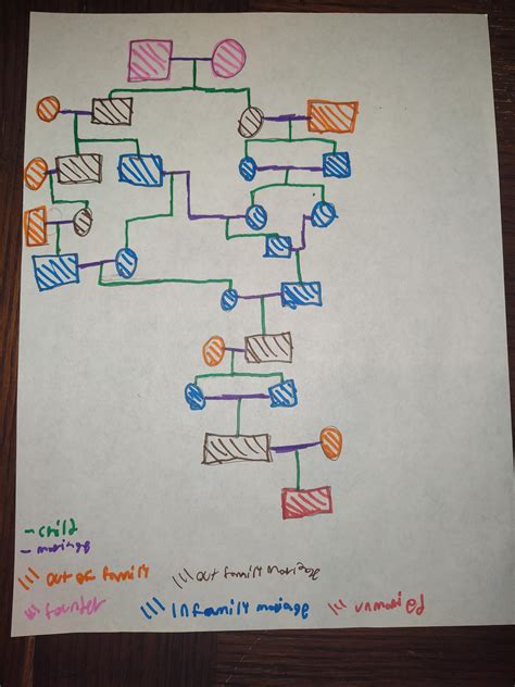 Inbreeding Coefficient Genomic Inbreeding Australian Wagyu