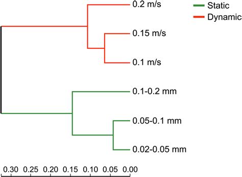 hcluster tree of samples with the bray curtis similarity index