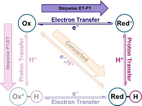Direct Evidence For A Sequential Electron Transferproton Transfer