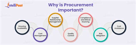 What Is Procurement And Supply Chain Management Intellipaat