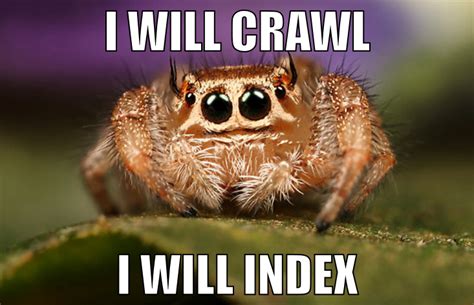 Block Web Crawlers How Could A Site Get Indexed If It Was Blocked In Robots Txt