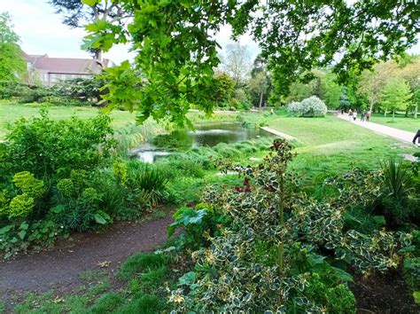 Redmi Note G Review Digital Camera World