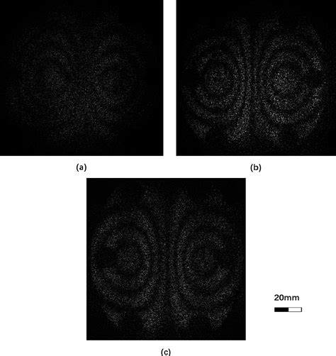 Figure 3 From Digital Shearing Speckle Pattern Interferometry Based On