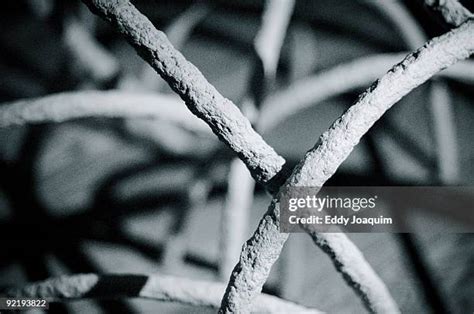 Crossplot Photos And Premium High Res Pictures Getty Images