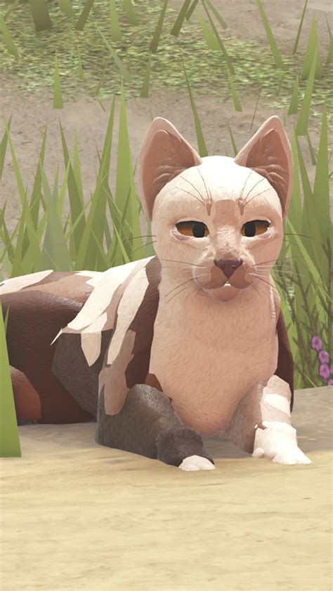 No Gamepass Wcue Morph Ideas For Roblox Tiktok