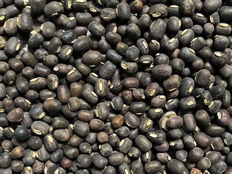 Black Gram Dal For Cooking Food Medicine Form Granules Devataru Farms Dharwad Karnataka