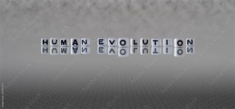 Human Evolution Word Or Concept Represented By Black And White Letter