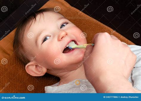 Cómo Debo Lavar Los Dientes De Mi Bebé Correctamente