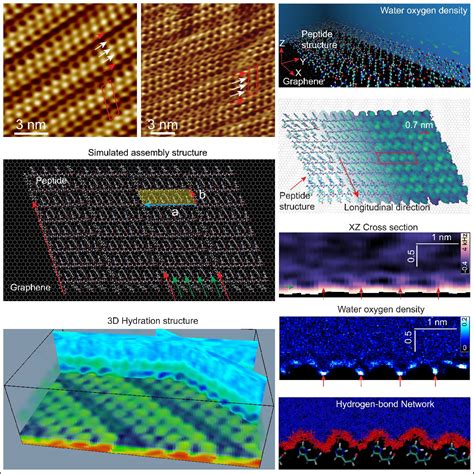 From Hydration Layers To Nanoarchitectures Waters Pivotal Role In