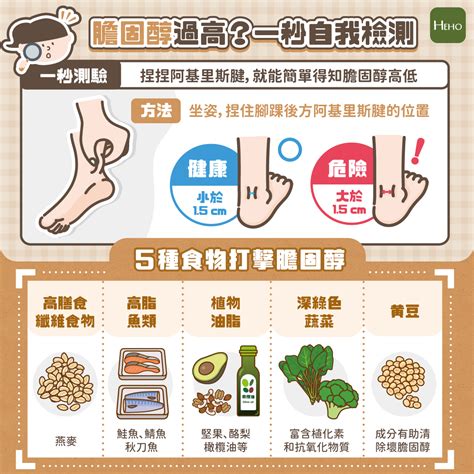 膽固醇過高 可能是體脂肪和血脂肪惹的禍 蕃新聞