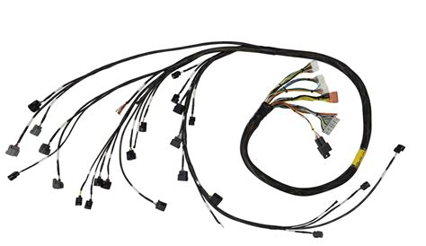 Rywire 96 98 Civic K Series Swap Mil Spec Harness For Haltech Elite