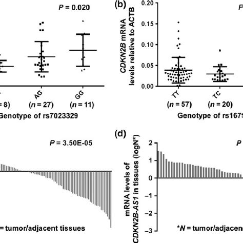 Genotype Phenotype Correlation And Differential Expression Analysis Download Scientific Diagram