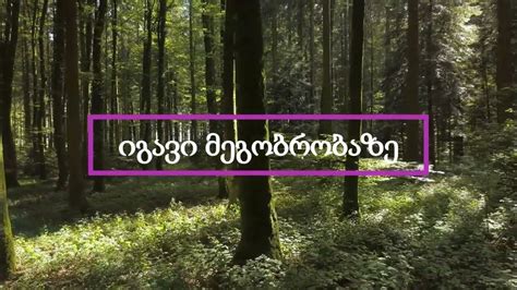 იგავი მეგობრობაზე Youtube