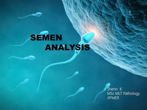 Sperm Anatomy And Physiology Pptx