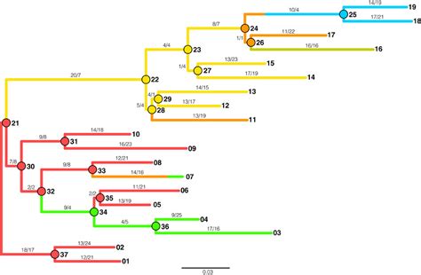 用于基准祖先序列重建的实验系统发育。 Nature Communications X Mol