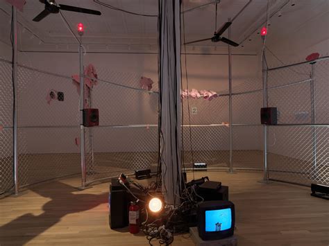 Julia Scher Exhibitions Ortuzar