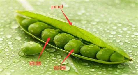 8种kubernetes集群中pod处于 Pending状态的故障排除方法pod Pending Csdn博客