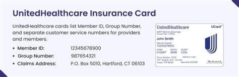 How To Read A Patients Health Insurance Card Complete Guide Bellmedex