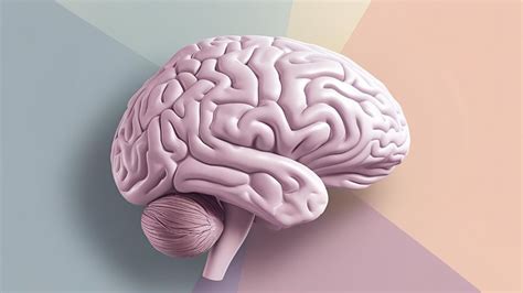 The Somatosensory Cortex Is Responsible For Processing Info