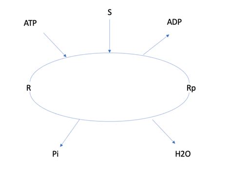 Ordinal Differential Equation Ode In Python Towards Data Science