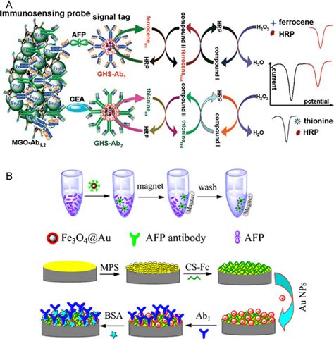 A The Protocol Of Multiplexed Electrochemical Immunoassay And The Download Scientific Diagram