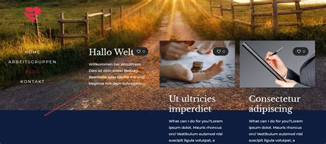Increase Header Size — Betheme Support Forum
