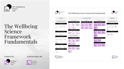The Wellbeing Science Framework Fundamentals Life Management Science Labs