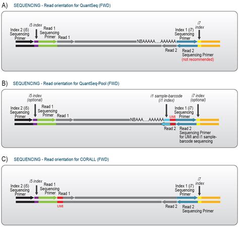 Secondary Data Analysis Of Rna Seq Data Rna Lexicon