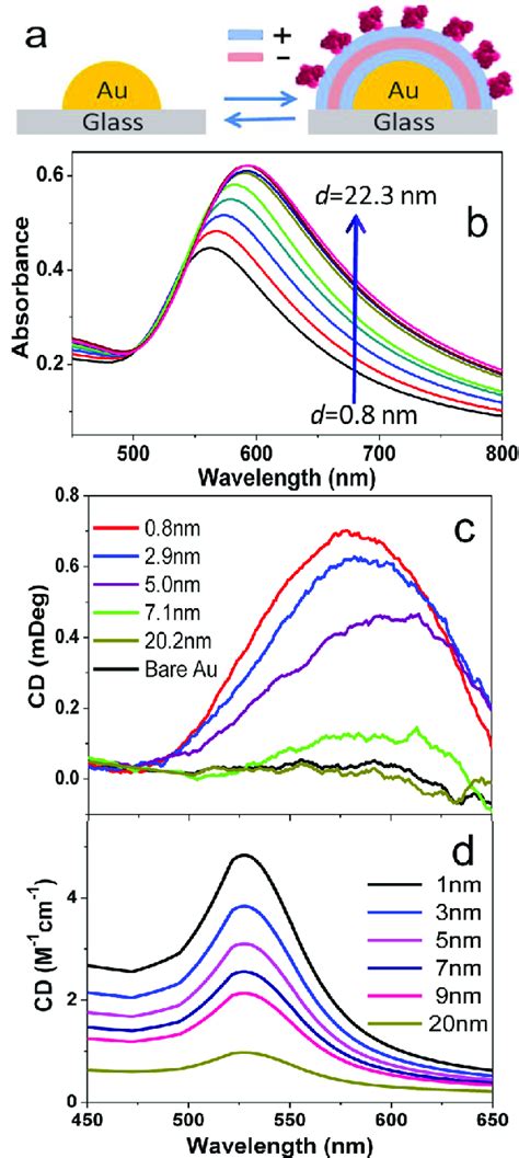 A A Scheme Of The LBL Experiment Where D Is The Total Thickness Of Download Scientific