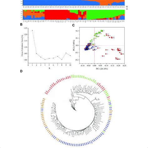Details Of Population Structure Analysis By Using 37 929 Snps Based Download Scientific