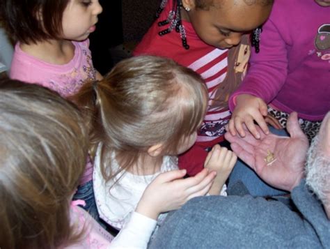 The Project Approach And The Class Observation Tool Illinois Early