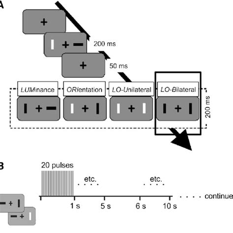 A Schematic Illustration Of The Attentional Selection Paradigm B