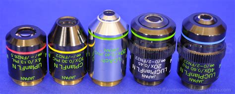 Fluorescence Microscopes Olympus Ix71 Inverted Fluorescence Phase Contrast Microscope