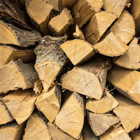 Best Firewood Tips For Your Fireplace In 2025