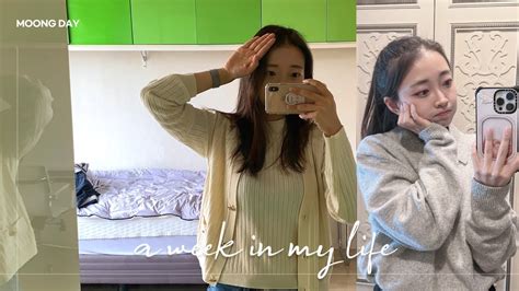 Vlog 직장인브이로그ㅣ또 출장시즌 근데 바다를 곁들인ㅣ건축사공부브이로그ㅣ수험생 그게 몬데ㅣ공부하기 싫은 뭉쪽이의 하루ㅣ고령촌돼지찌개ㅣ신신짬뽕ㅣ카페루나ㅣ문경약돌