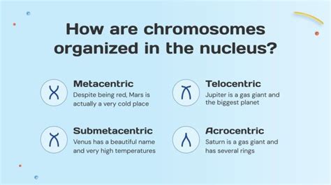 Cellular Structure And Function Science 11th Grade