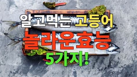 알고 먹으면 더 맛있는 국민 생선 고등어 0032 Youtube