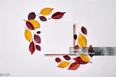 가을 구성 빈 종이로 만든 프레임과 흰색 배경에 나뭇잎 가을 개념입니다 가을 추수 감사절 질감입니다 플랫 레이 상단 보기 복사 공간 가을에 대한 스톡 사진 및 기타 이미지
