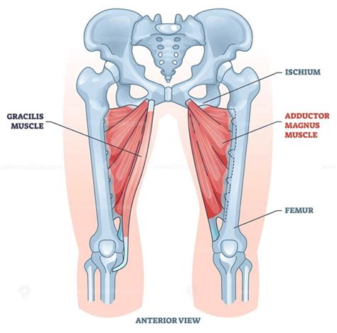 Gordon Wallis On Linkedin Fibromyalgia Protocol 14 Comments