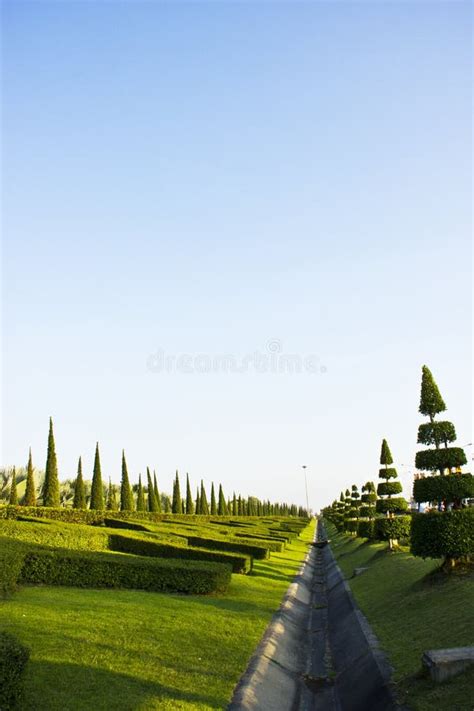 Grass Garden With Palm Trees Stock Image Image Of Park Lawn 23186931