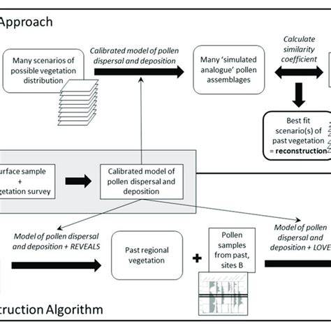 A Schematic Representation Comparing Two Approaches To Reconstruction Download Scientific