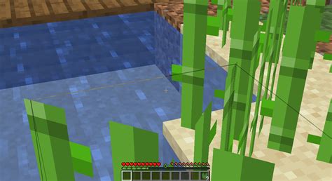 Rendering Block Hit Boxes Conflict With Water Transparency · Issue