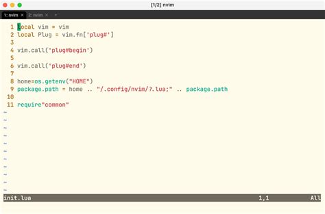 The Complete Neovim Configuration Guide For Developers Part 1