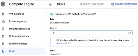 resize asm disks in gcp fg enabled cluster dba knowledge base