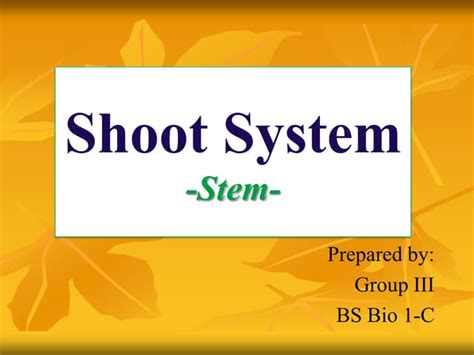 Roots System Pptx