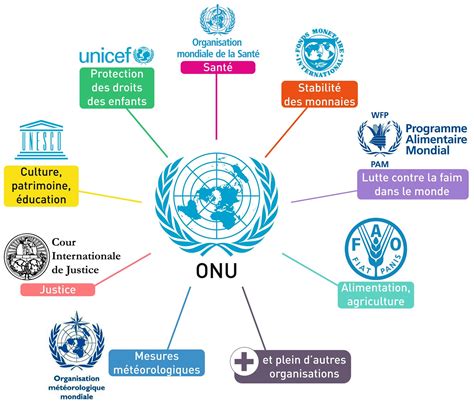 Organos Principales Onu Quels Sont Les Organes Principaux De Lonu Qqmhzl