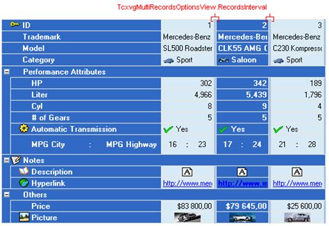 Multiple Records View Layout Vcl Devexpress Documentation