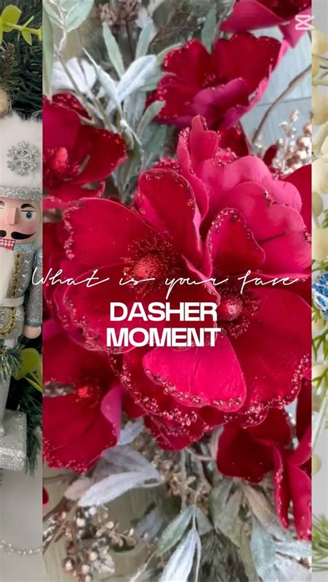 Dasher And Co • Instagram Photos And Videos